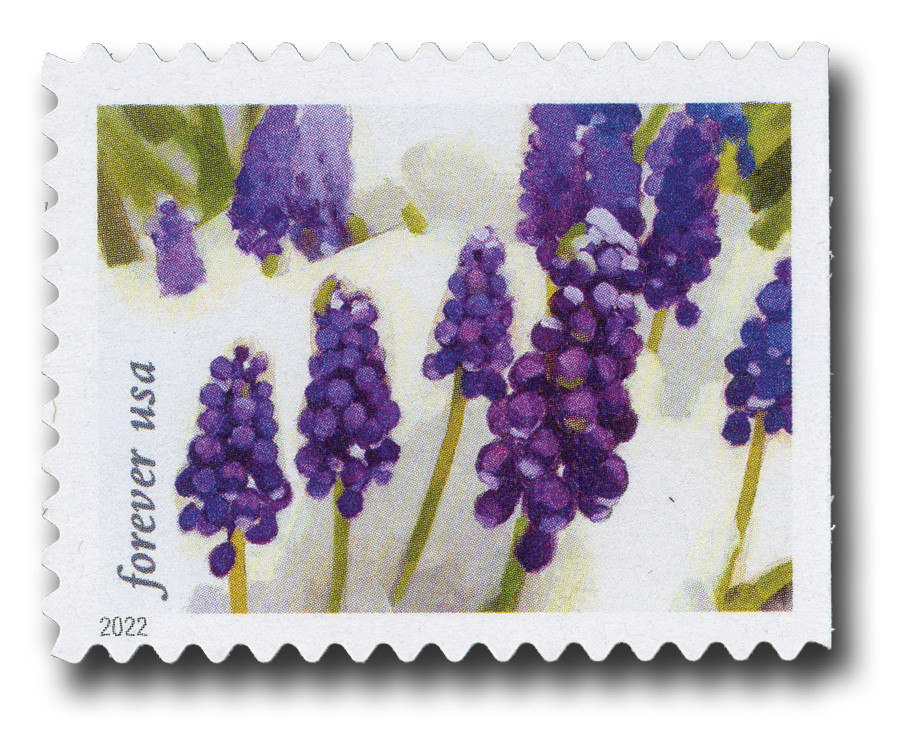 5731 - 2022 First-Class Forever Stamp - Snowy Beauty: Winterberry ...