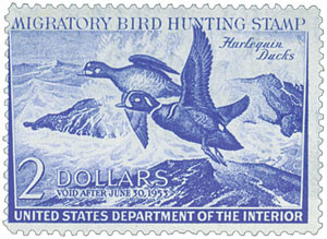 RW18 - 1951 $2.00 Federal Duck Stamp - Gadwall Ducks - Mystic Stamp Company