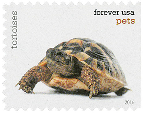 5112 - 2016 First-Class Forever Stamp - Pets: Rabbits - Mystic Stamp ...