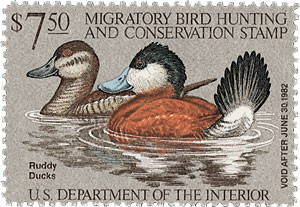 RW48 - 1981 $7.50 Federal Duck Stamp - Ruddy Ducks - Mystic Stamp Company