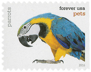 5112 - 2016 First-Class Forever Stamp - Pets: Rabbits - Mystic Stamp ...