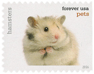 5112 - 2016 First-Class Forever Stamp - Pets: Rabbits - Mystic Stamp ...