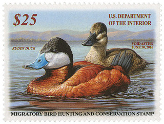RW8 - 1941 $1.00 Federal Duck Stamp - Ruddy Ducks - Mystic Stamp Company