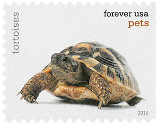 5112 - 2016 First-Class Forever Stamp - Pets: Rabbits - Mystic Stamp ...