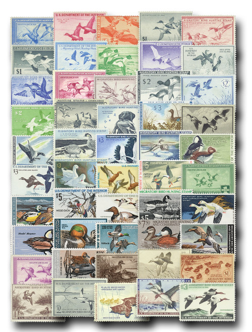 RW1 - 1934 $1.00 Federal Duck Stamp - Mallards - Mystic Stamp Company