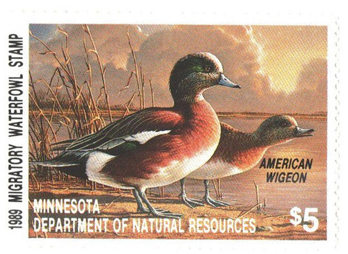 SDMN5 - 1981 Minnesota State Duck Stamp - Mystic Stamp Company