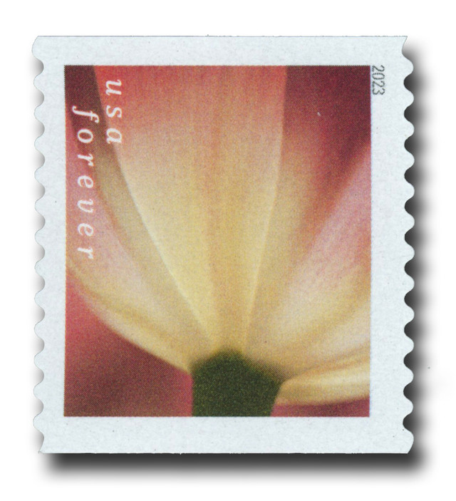 5769 - 2023 First-Class Forever Stamp - Tulip Blossoms: Pink and Orange ...