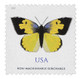 5346 - 2019 70c California Dogface Butterfly - Mystic Stamp Company