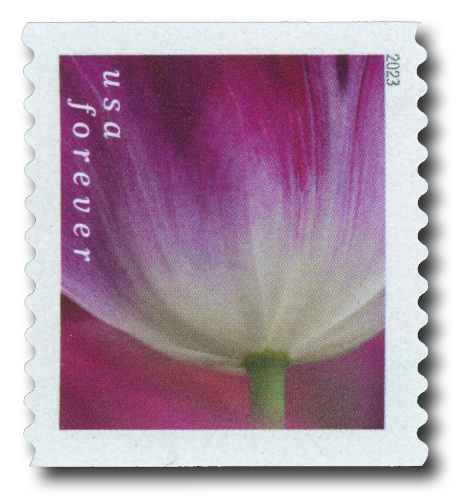 5770 - 2023 First-Class Forever Stamp - Tulip Blossoms: Lilac Tulip ...