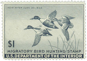 RW4 - 1937 $1.00 Federal Duck Stamp - Scaup Ducks - Mystic Stamp Company