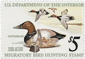 RW41 - 1974 $5.00 Federal Duck Stamp - Wood Ducks - Mystic Stamp Company