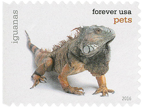 5112 - 2016 First-Class Forever Stamp - Pets: Rabbits - Mystic Stamp ...