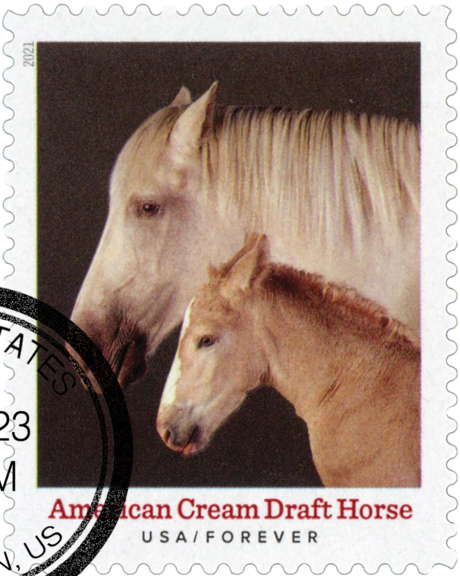 5590 - 2021 First-Class Forever Stamp - Heritage Breeds: American Cream ...