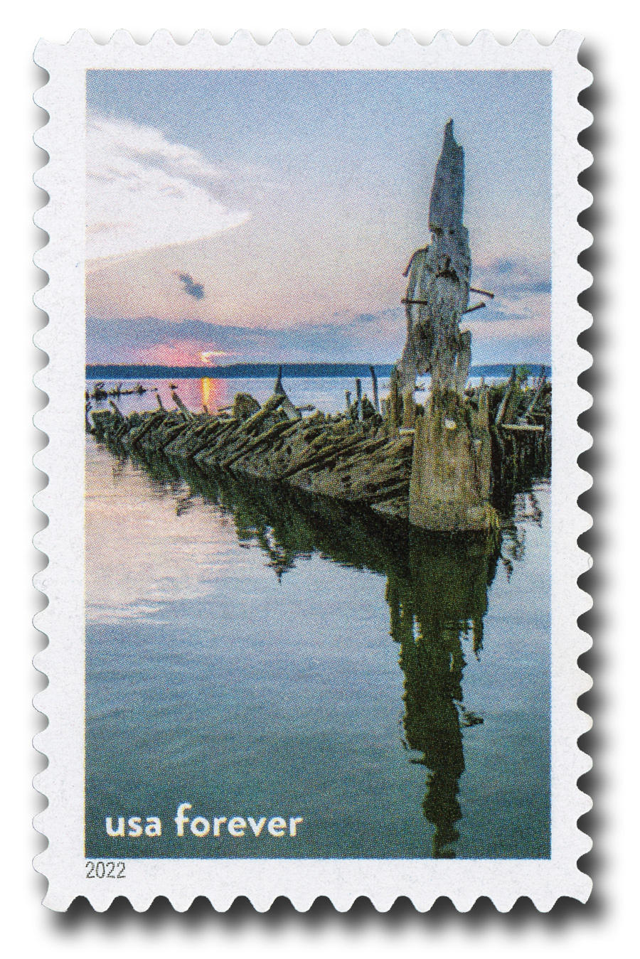 5713e - 2022 First-Class Forever Stamp - National Marine Sanctuaries ...