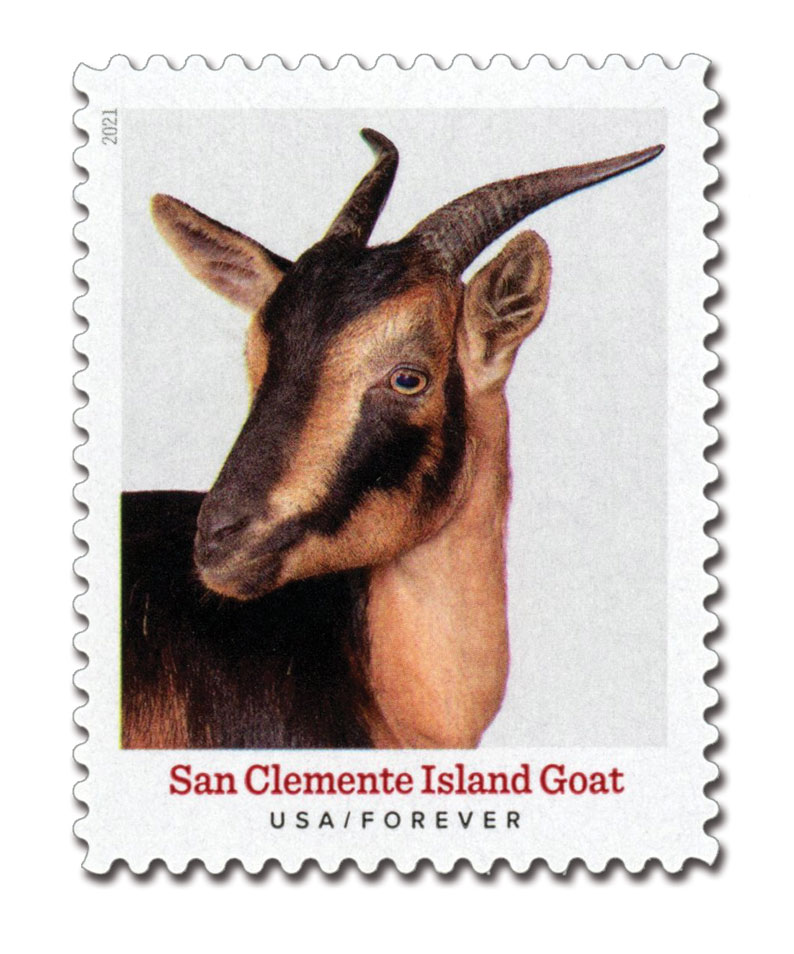 5589 - 2021 First-Class Forever Stamp - Heritage Breeds: San Clemente ...