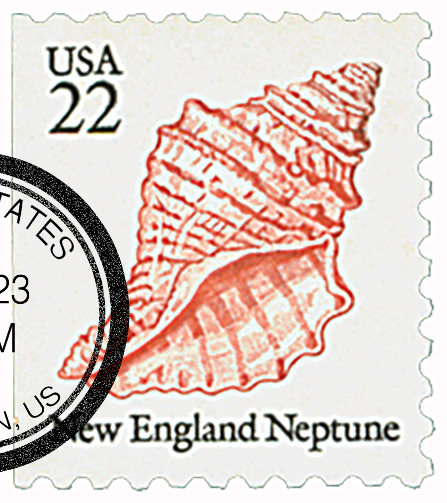 2119 - 1985 22c Seashells: New England Neptune - Mystic Stamp Company