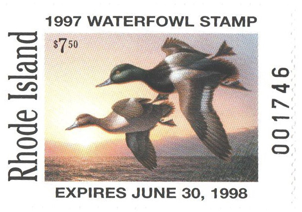 SDRI9 - 1997 Rhode Island State Duck Stamp - Mystic Stamp Company