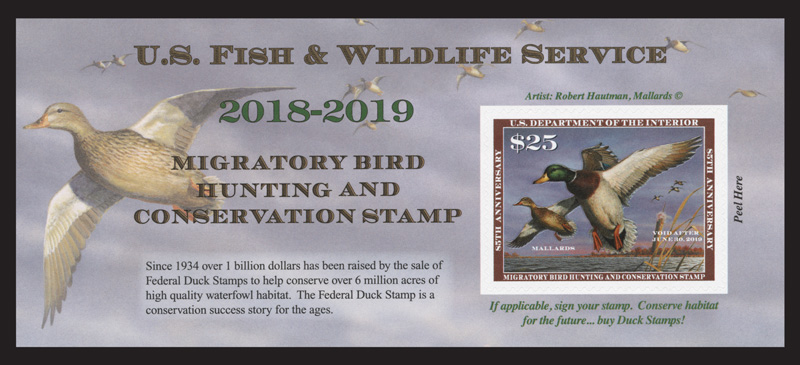 MM798 - 162x74mm 5 Horizontal Black Split-Back Mounts - Mystic Stamp ...