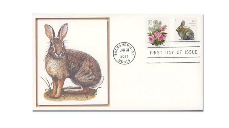 5544 - 2021 20c Brush Rabbit (sheet stamp) - Mystic Stamp Company