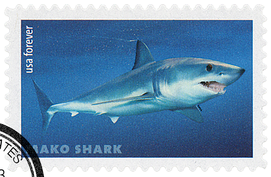 5223 - 2017 First-Class Forever Stamp - Sharks: Mako Shark - Mystic ...