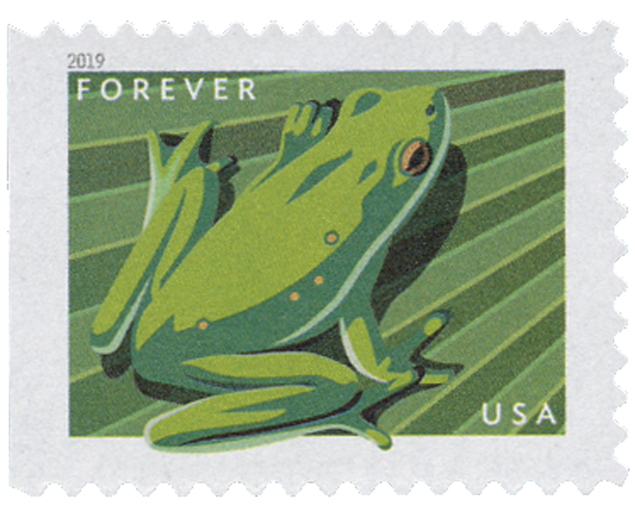 5397 - 2019 First-Class Forever Stamp - Frogs: American Green Tree Frog ...