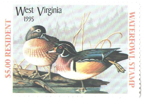 SDWV17 - 1995 West Virginia State Duck Stamp - Mystic Stamp Company