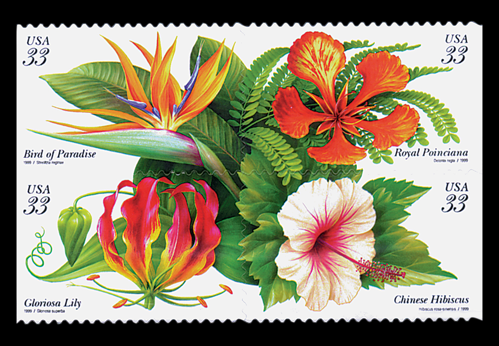 MM6131 - 85x59mm 2 Horizontal Black Split-Back Mounts - Mystic Stamp ...