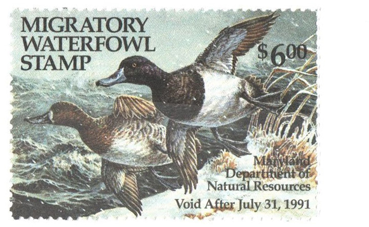 SDMD17 - 1990 Maryland State Duck Stamp - Mystic Stamp Company
