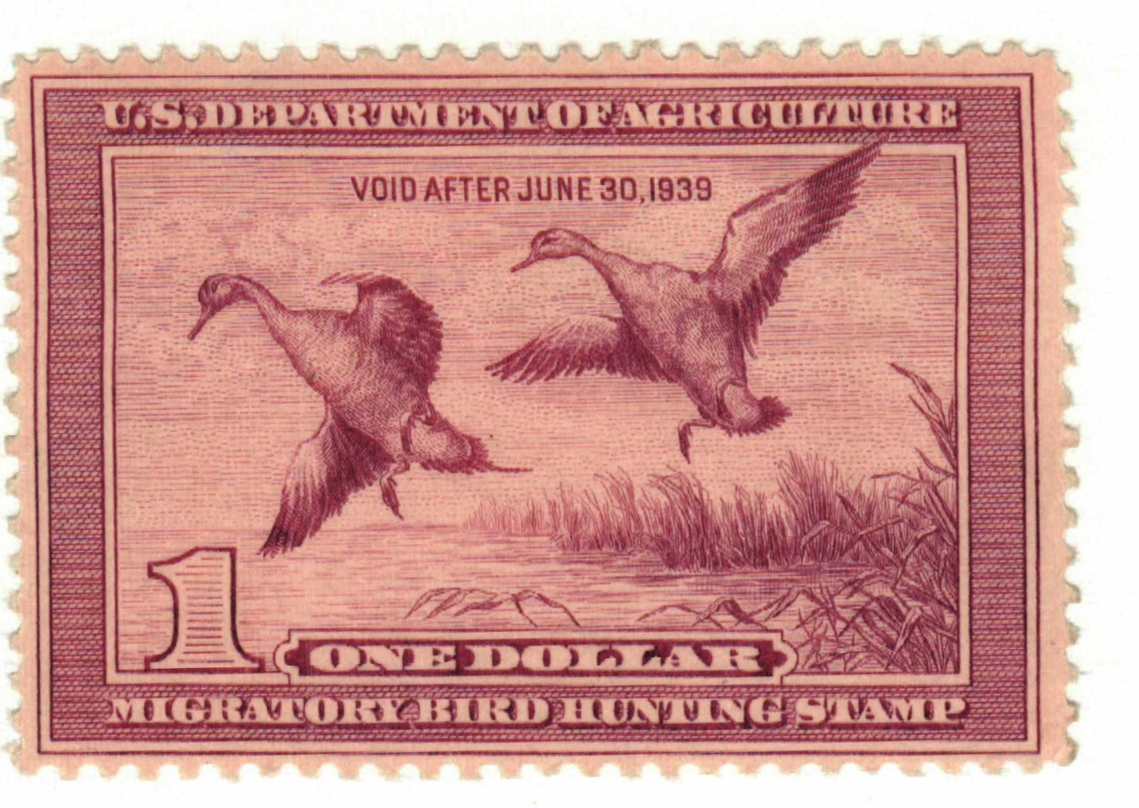 RW5 - 1938 $1.00 Federal Duck Stamp - Pintail Drake - Mystic Stamp Company