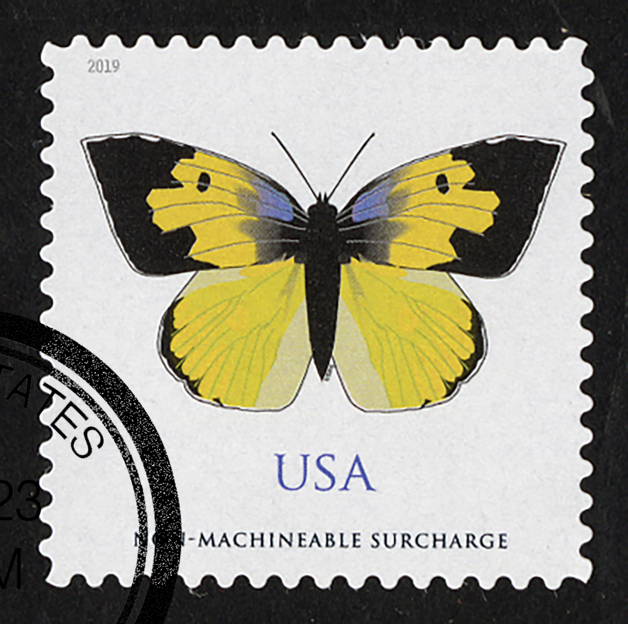 5346 - 2019 70c California Dogface Butterfly - Mystic Stamp Company