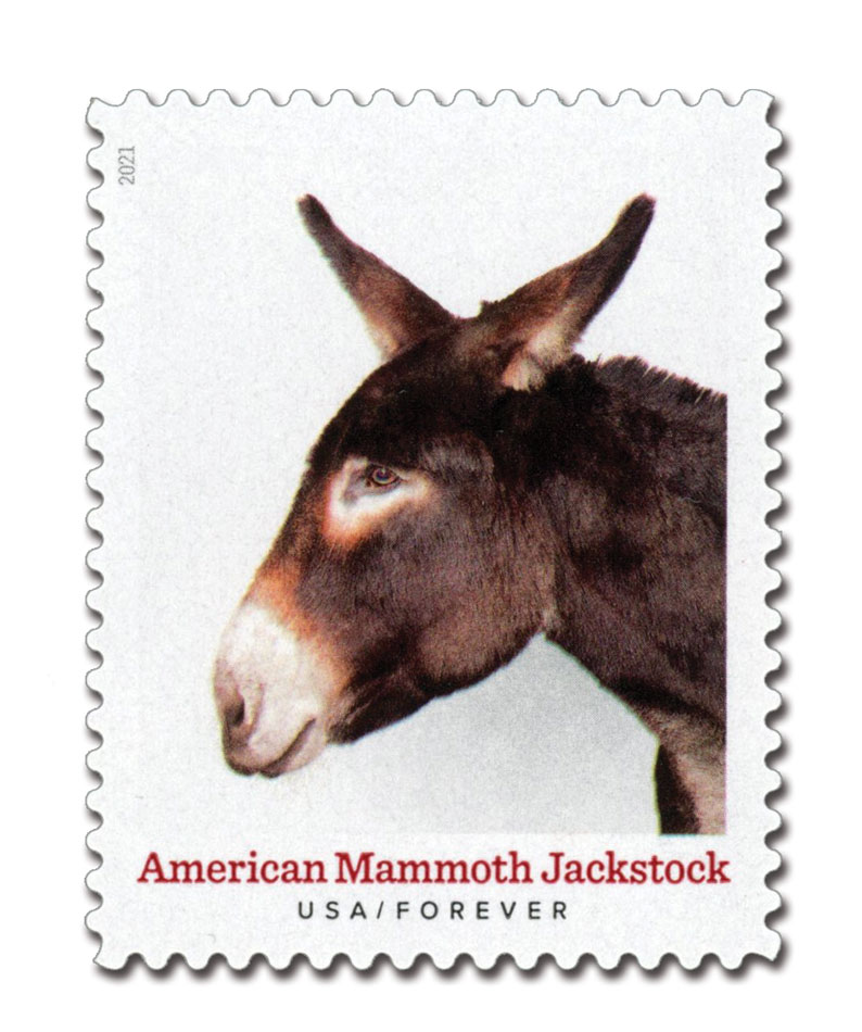5587 - 2021 First-Class Forever Stamp - Heritage Breeds: American ...