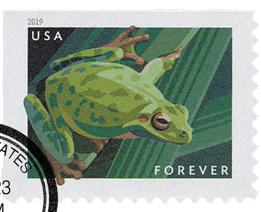 5395 - 2019 First-Class Forever Stamp - Frogs: Pacific Tree Frog ...