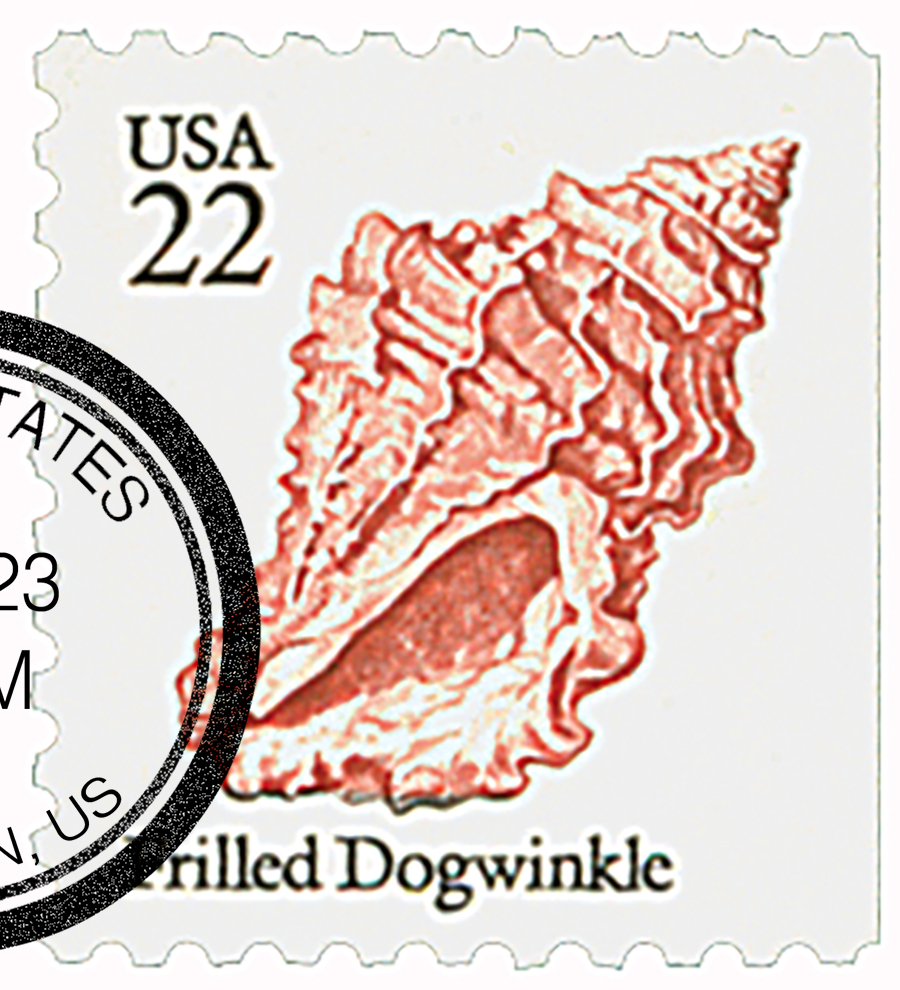 2117 - 1985 22c Seashells: Frilled Dogwinkle - Mystic Stamp Company