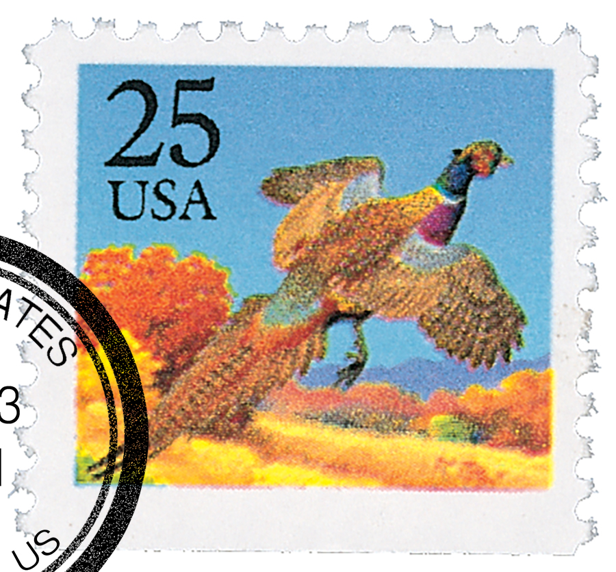 2283 - 1988 25c Pheasant, booklet single - Mystic Stamp Company