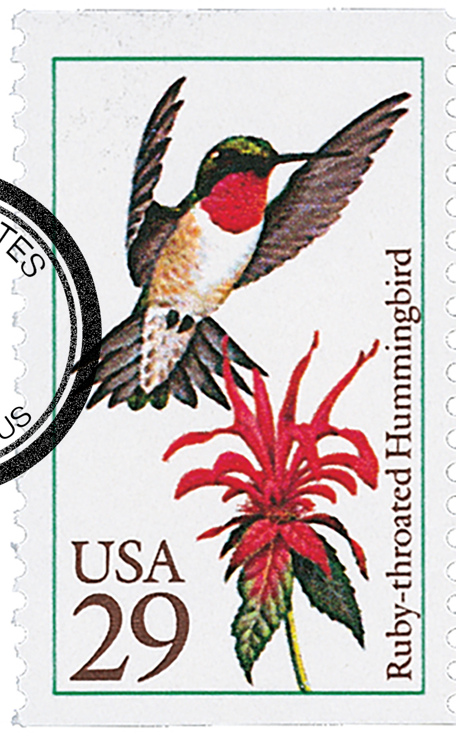 2642 - 1992 29c Hummingbirds: Ruby-throated - Mystic Stamp Company