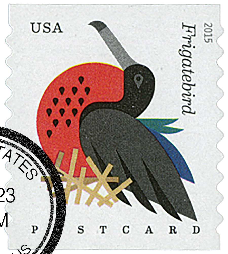 4996 - 2015 35c Coastal Birds: Frigatebird, coil - Mystic Stamp Company
