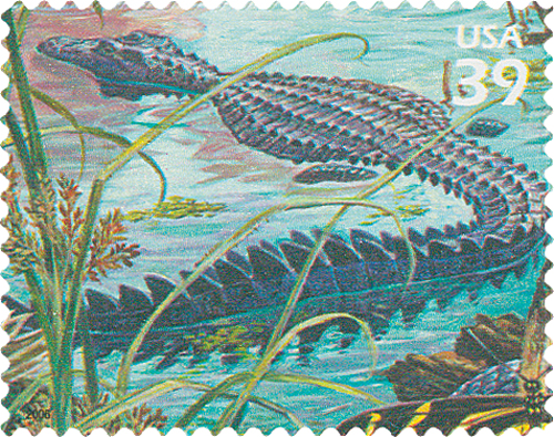 4099i - 2006 39c Southern Florida Wetland: American Alligator - Mystic ...