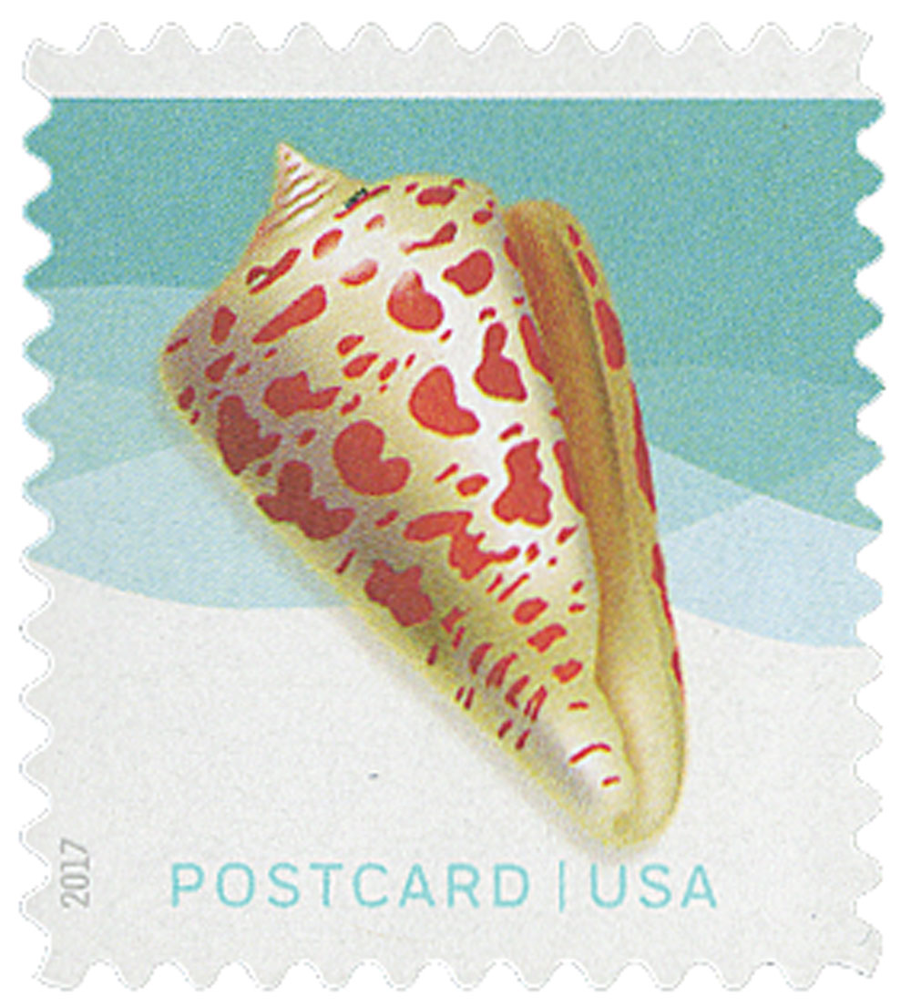 5165 - 2017 34c Seashells: Alphabet Cone - Mystic Stamp Company