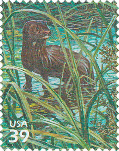 4099g - 2006 39c Southern Florida Wetland: Everglades Mink - Mystic ...
