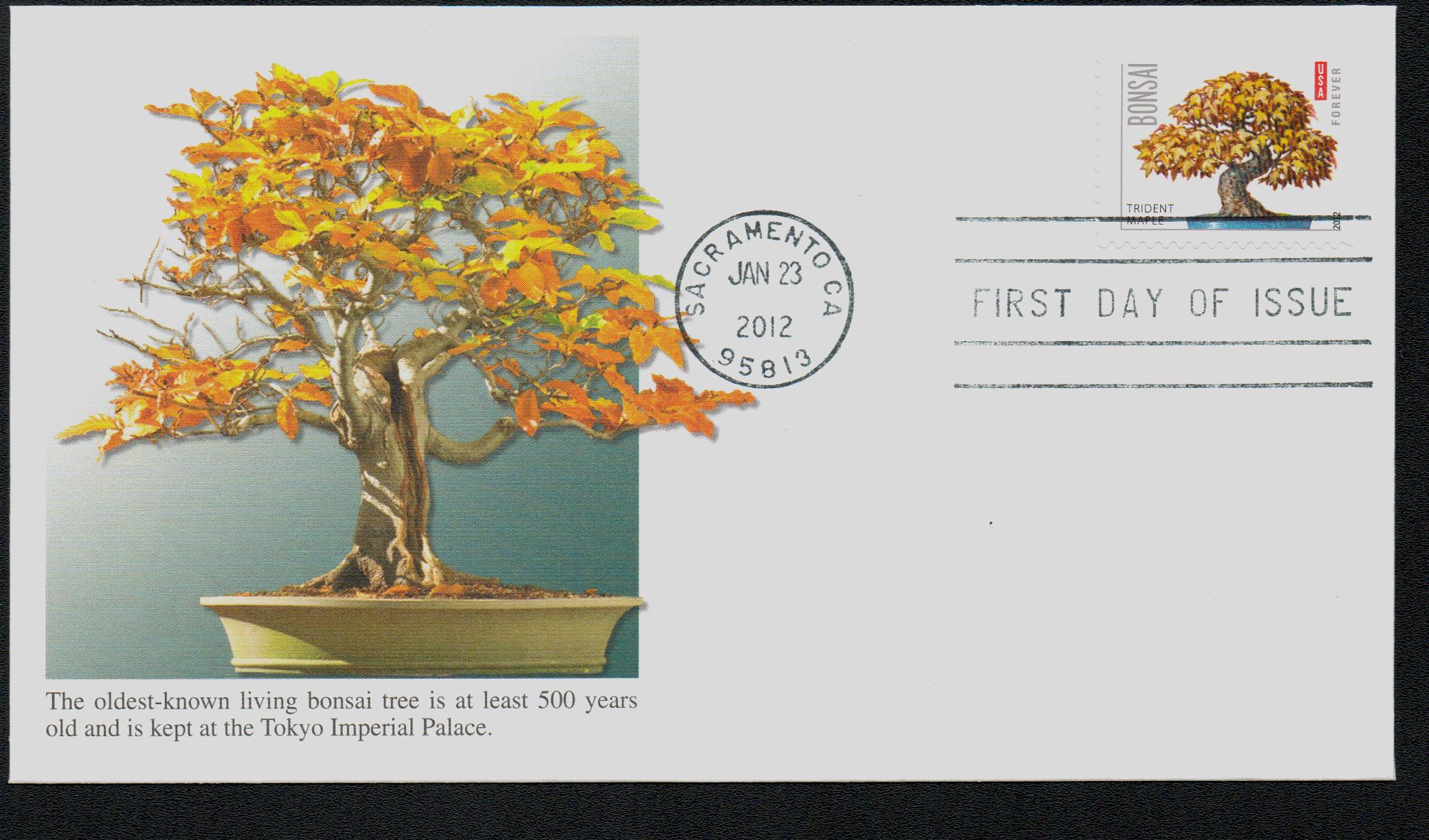 4621 - 2012 First-Class Forever Stamp - Bonsai Trees: Trident Maple ...