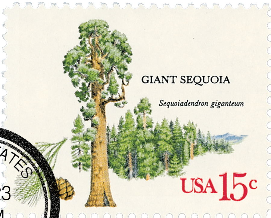 1764 - 1978 15c American Trees: Giant Sequoia - Mystic Stamp Company