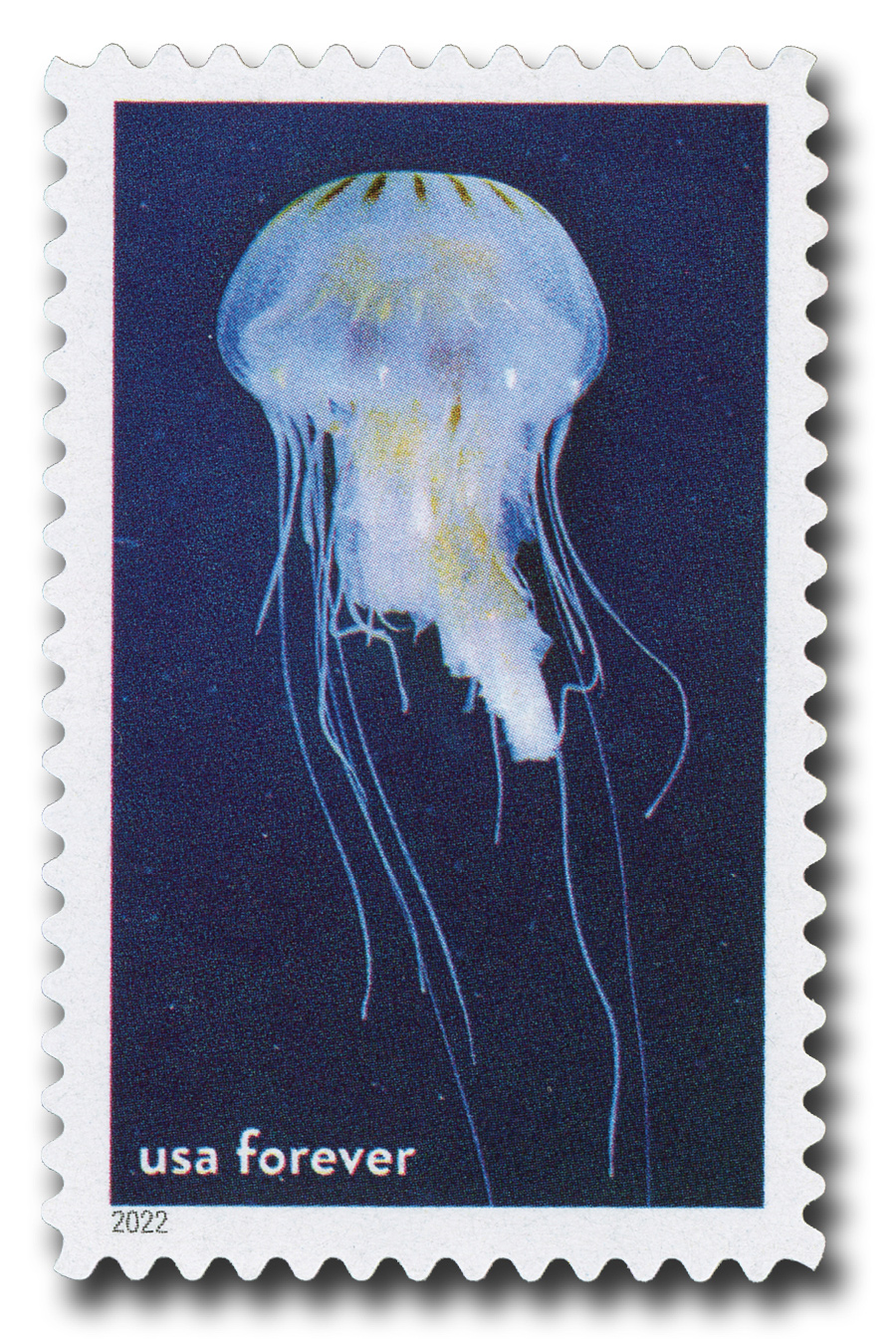 5713l - 2022 First-Class Forever Stamp - National Marine Sanctuaries ...