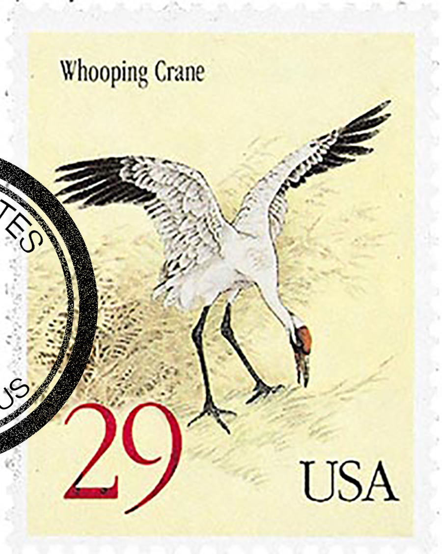 2868 - 1994 29c Whooping Crane - Mystic Stamp Company