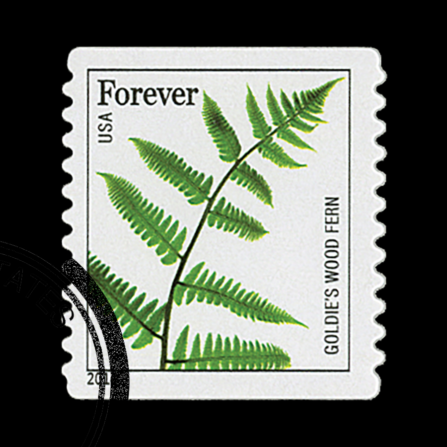 4877 - 2014 First-Class Forever Stamp - Ferns (non-denominated): Goldie ...