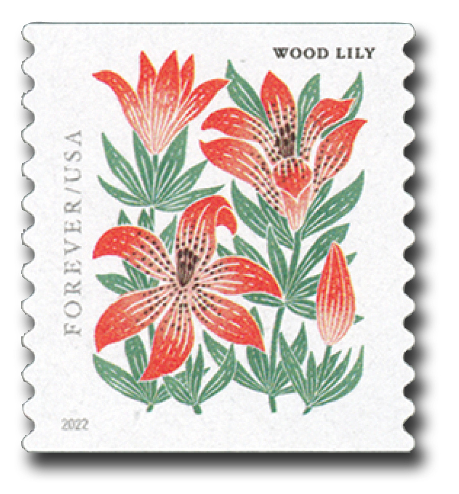 5672 - 2022 First-Class Forever Stamp - Mountain Flora (coil): Wood ...