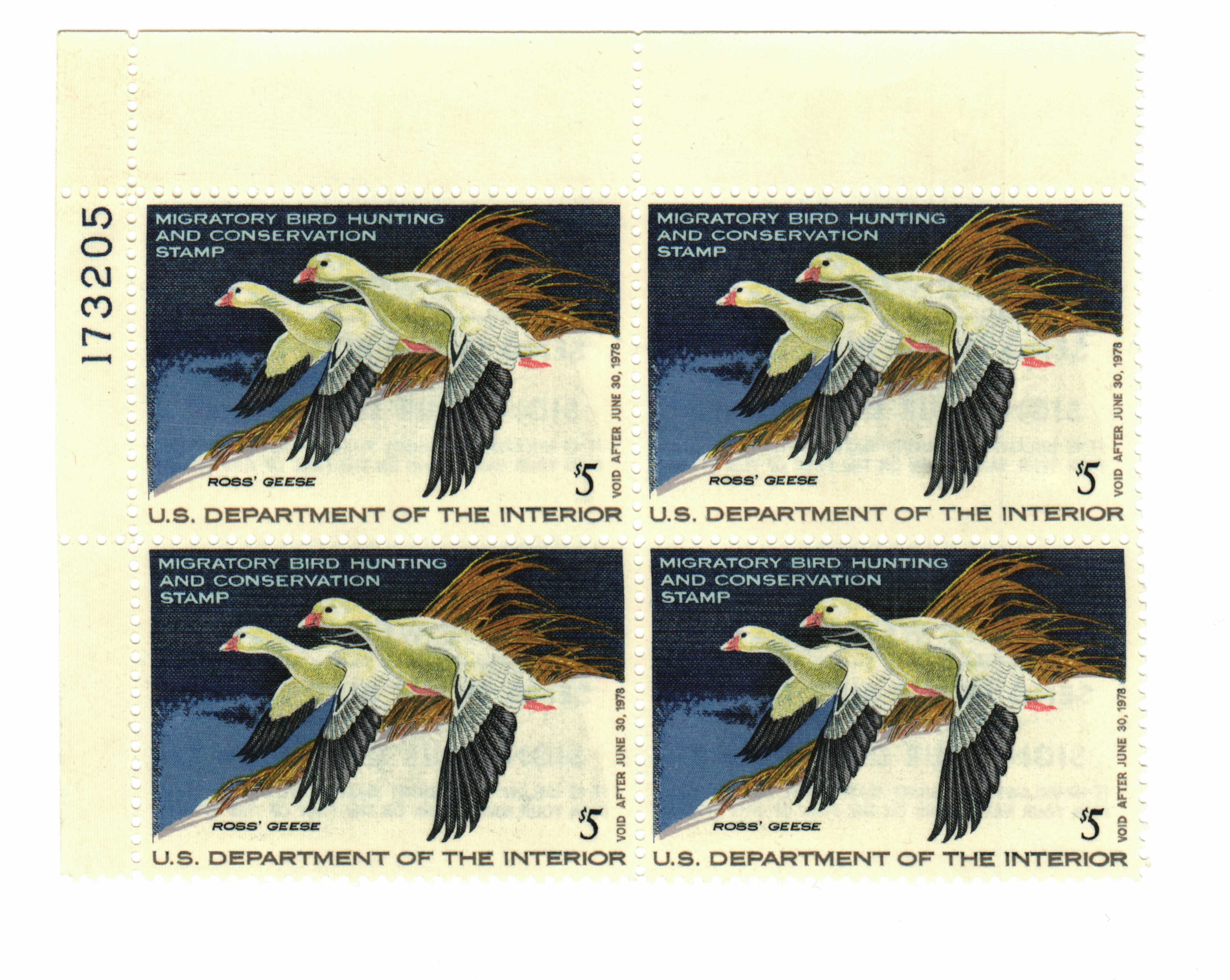 RW44 - 1977 $5.00 Federal Duck Stamp - Pair of Ross' Geese - Mystic ...