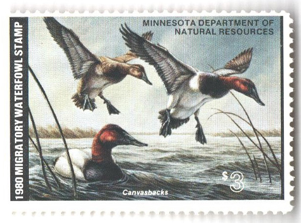 SDMN4 - 1980 Minnesota State Duck Stamp - Mystic Stamp Company