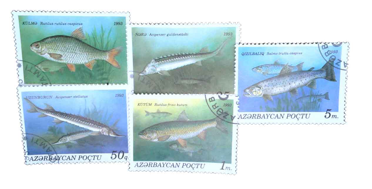386-90 - 1993 Azerbaijan - Mystic Stamp Company