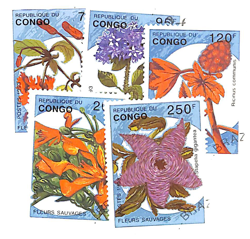 1016-20 - 1993 Congo, People's Republic - Mystic Stamp Company