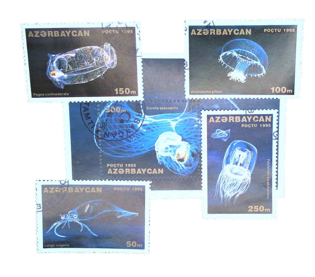 514//19 - 1995 Azerbaijan - Mystic Stamp Company